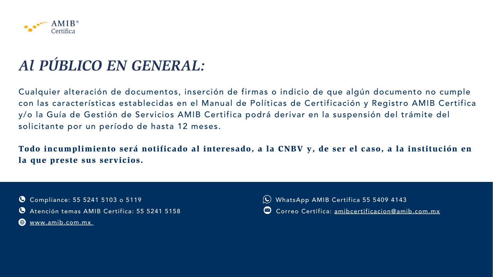 Portal AMIB
